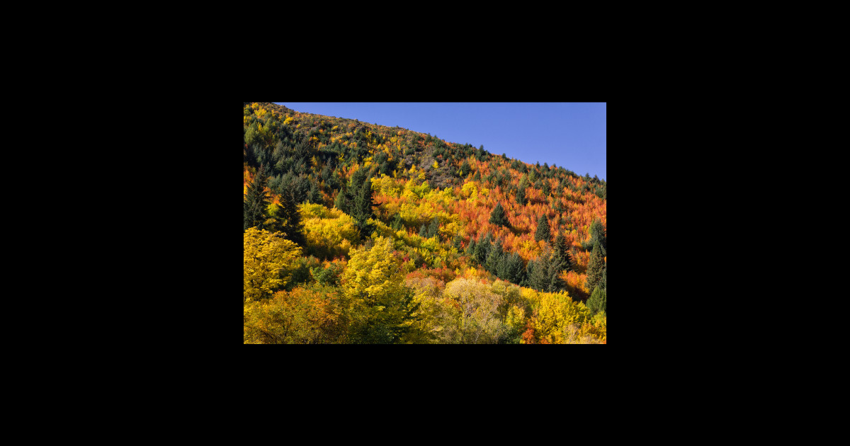 Arrowtown Colour - New Zealand - Sticker | TeePublic