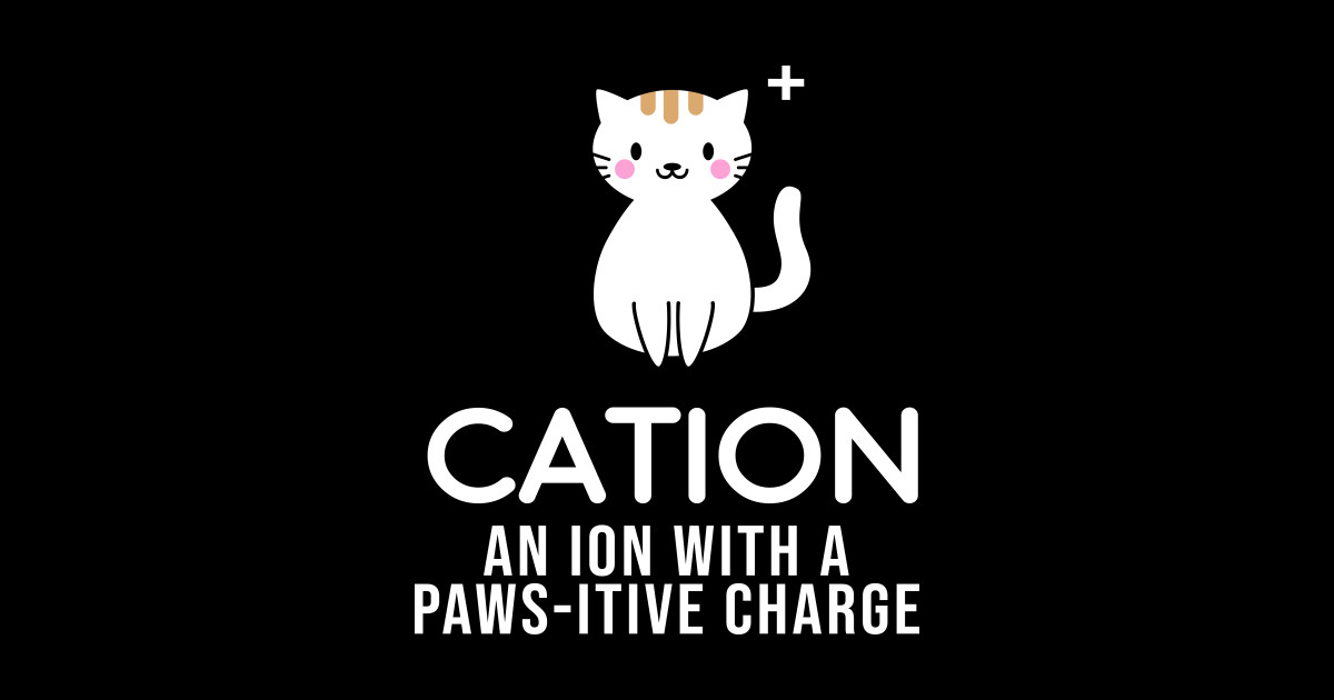 Cation cat ion - Chemistry Joke - T-Shirt | TeePublic