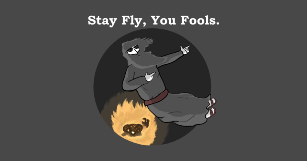 Stay Fly You Fools - Lord Of The Rings - T-Shirt | TeePublic