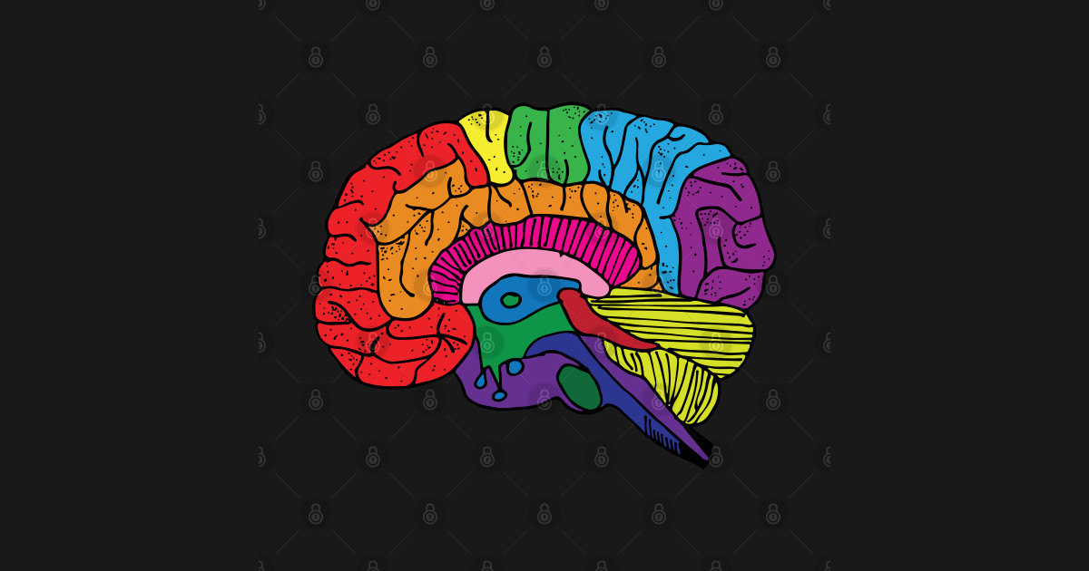 Rainbow Brain - Rainbow Brain - Sticker | TeePublic