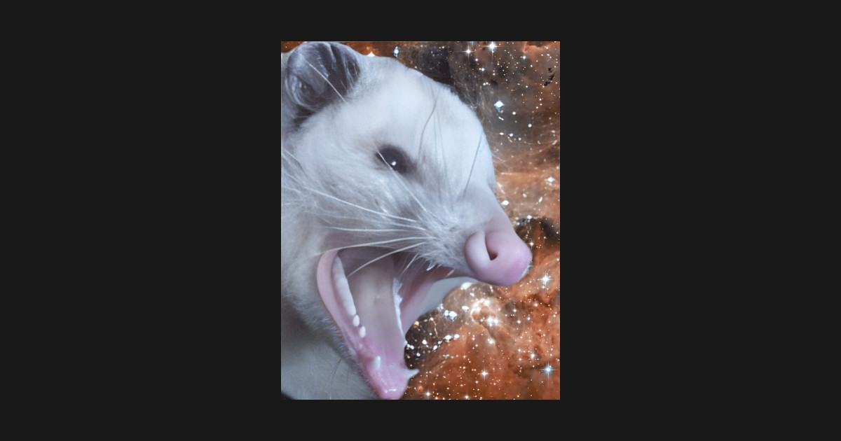 Angry possum - Awesome - T-Shirt | TeePublic