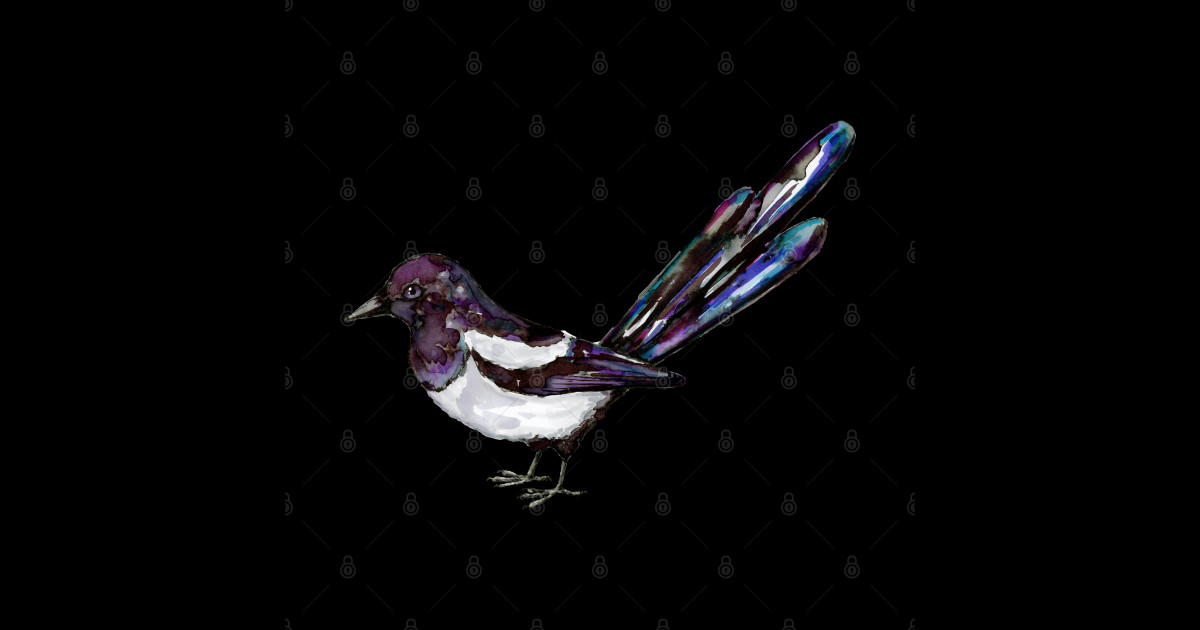 Magpie watercolor drawing - Magpie - Sticker | TeePublic