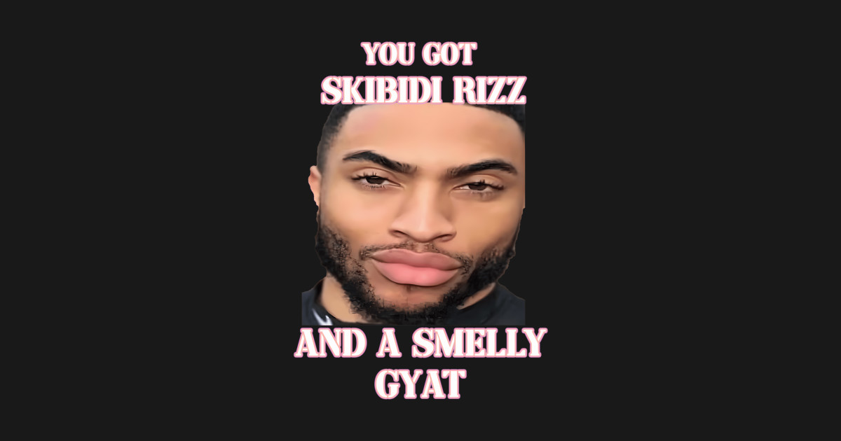 You Got Skibidi Rizz And A Smelly Gyat - You Got Skibidi Rizz And A ...