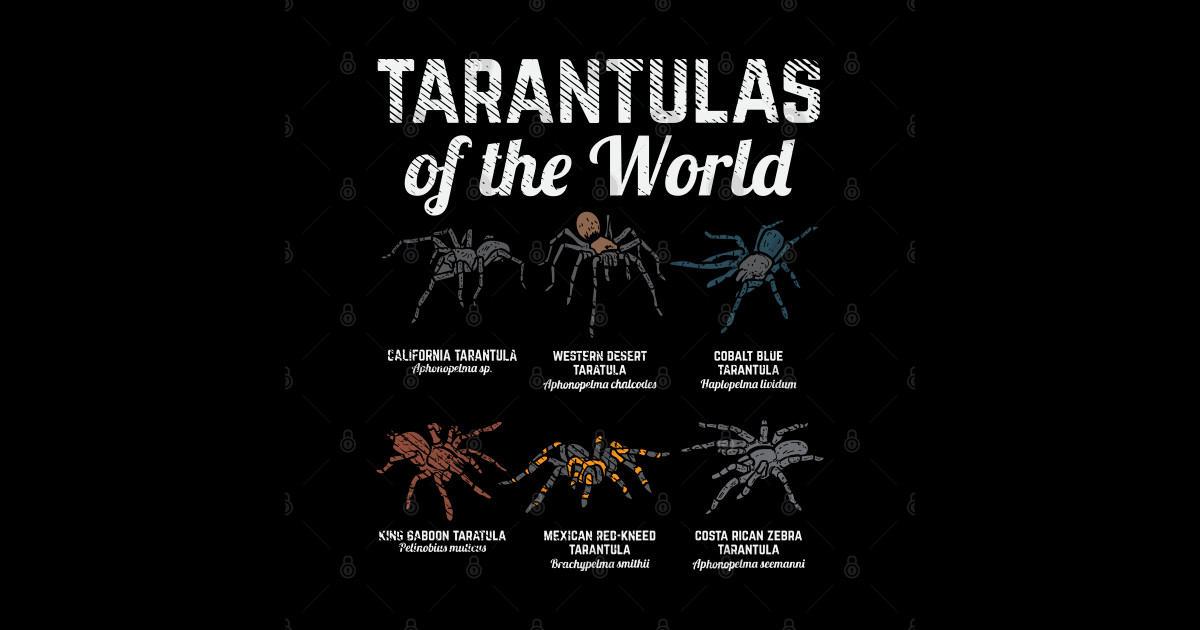 Tarantulas of the world - Funny Tarantula Owner gift - Tarantula ...