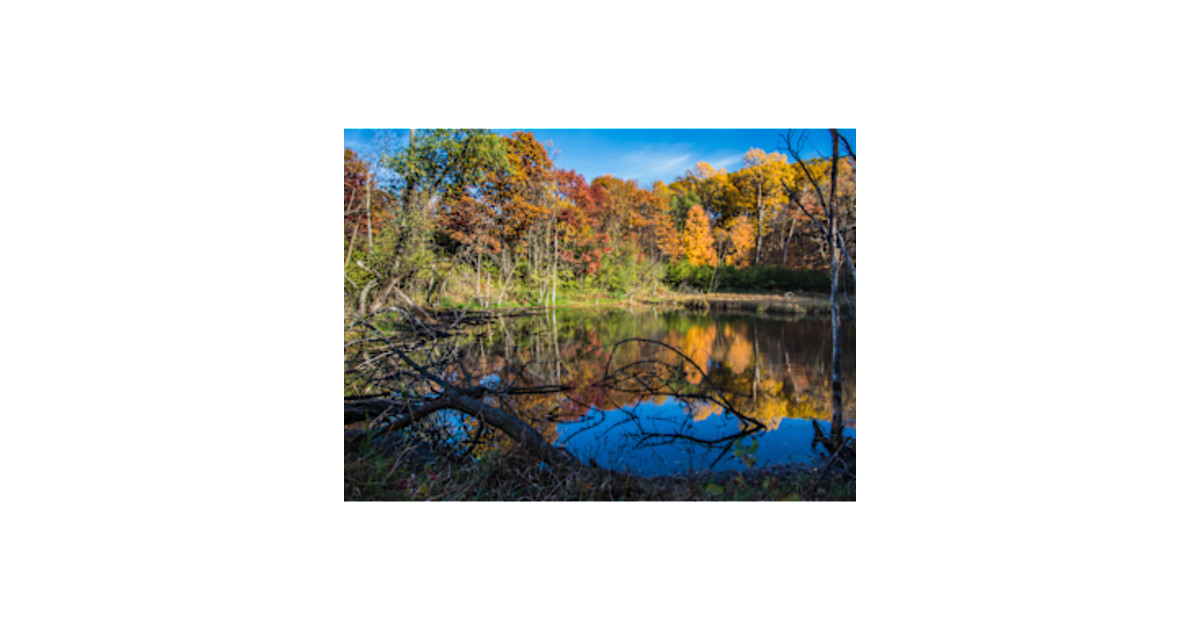 Mirror of Nature -Lake Mariah State Park - Lake Mariah State Park - T ...