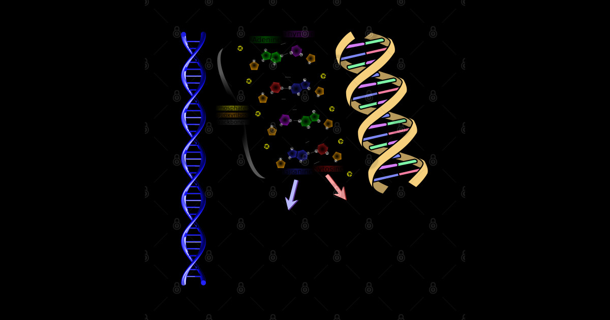 DNA Double Helix Chemical Formula Molecules Science Art Light ...