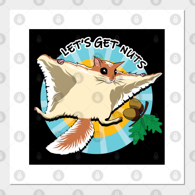 Flying squirrel gets nut - Squirrel - Posters and Art Prints | TeePublic