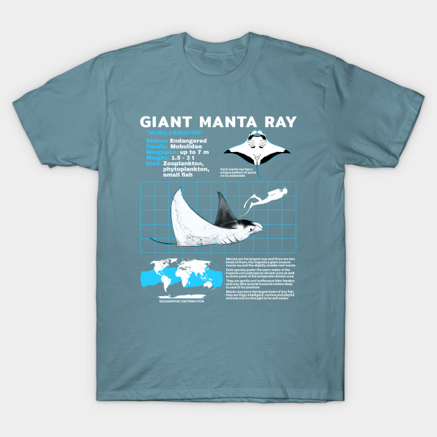 Manta Ray Factsheet - Manta Ray Data Sheet - T-Shirt