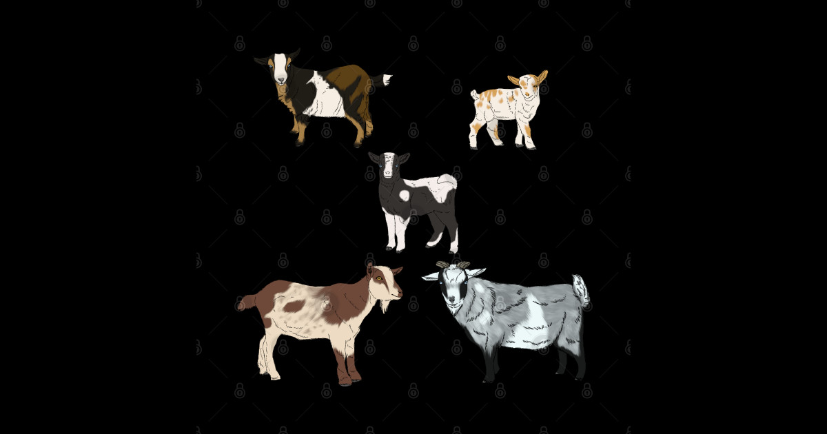 Transparent Nigerian Dwarf Goats Pattern - Goats - Sticker | TeePublic