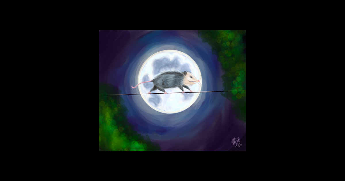 Moon Opossum - Opossum - Sticker | TeePublic