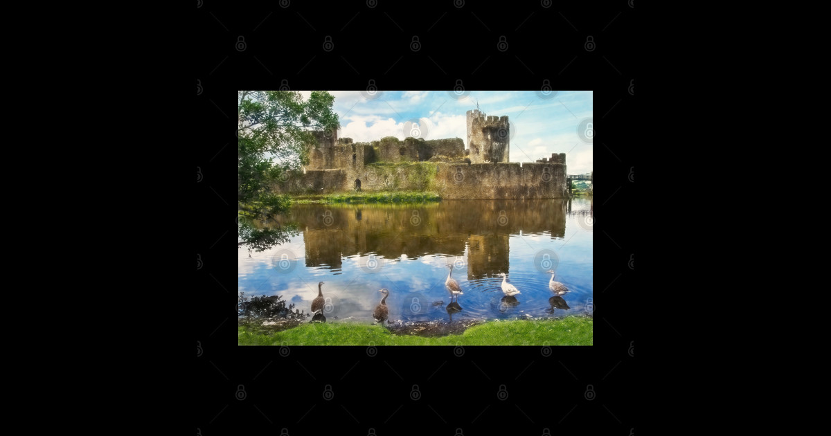 The Castle Geese - Caerphilly Castle - Sticker | TeePublic
