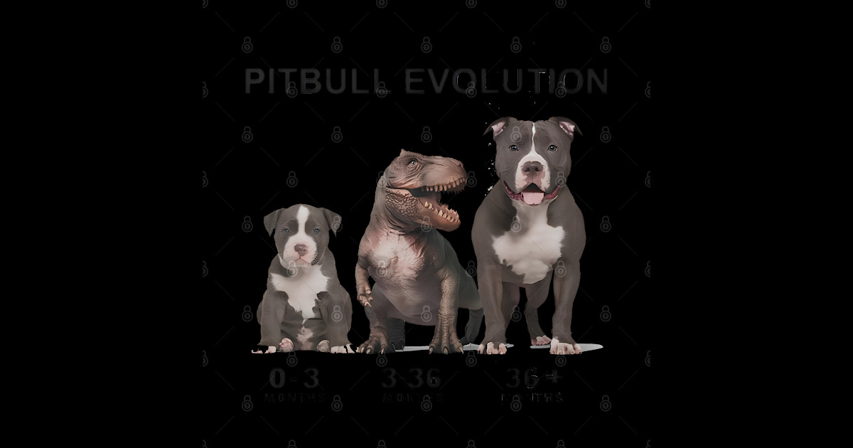 Pitbull Evolution - Pitbull Evolution - Sticker | TeePublic