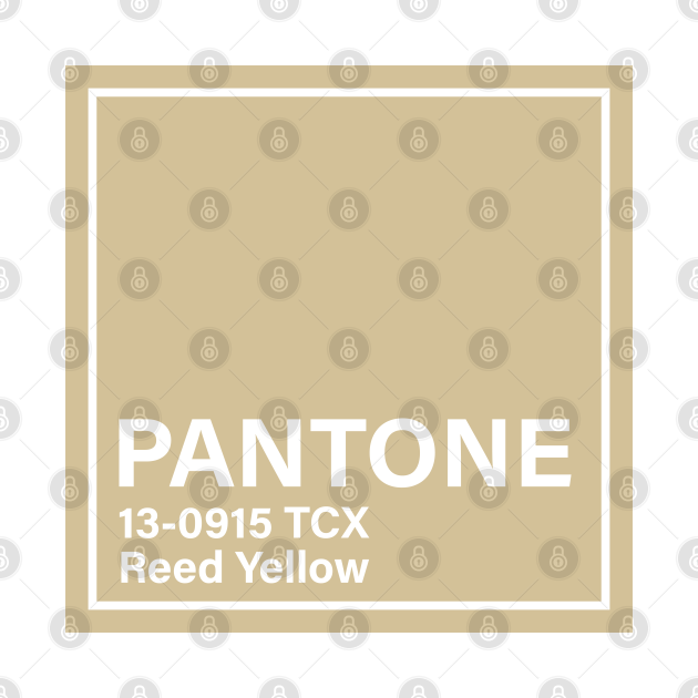 pantone 13-0915 TCX Reed Yellow - Pantone 13 0915 Tcx Reed Yellow - T ...