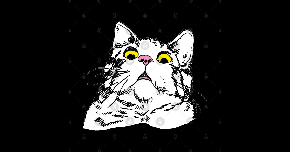 Cat Gasp - Cat Memes - Sticker | TeePublic