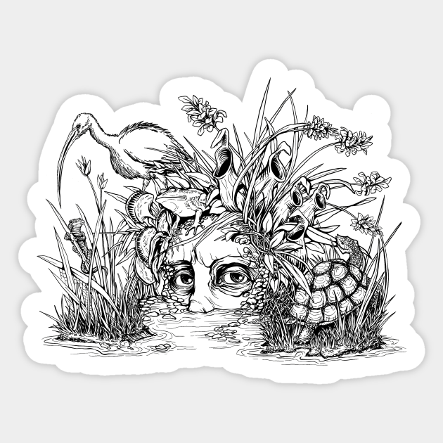 The Bog Witch - Turtle - Sticker | TeePublic