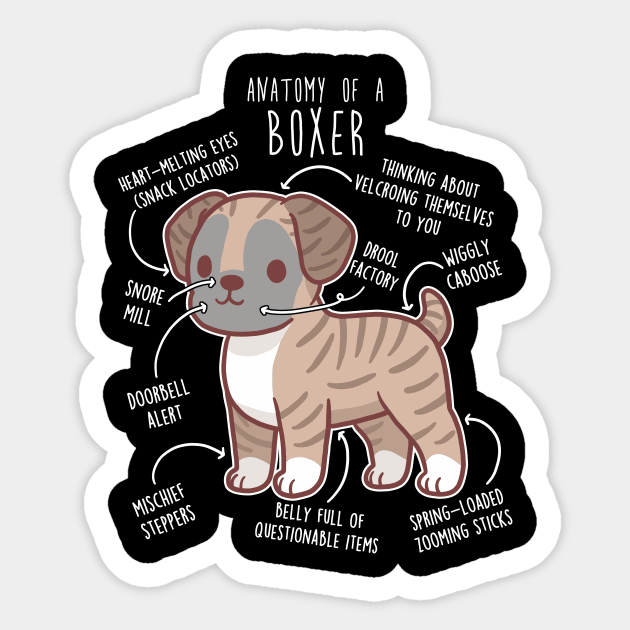 Boxer Dog Brindle Anatomy - Boxer - Sticker | TeePublic