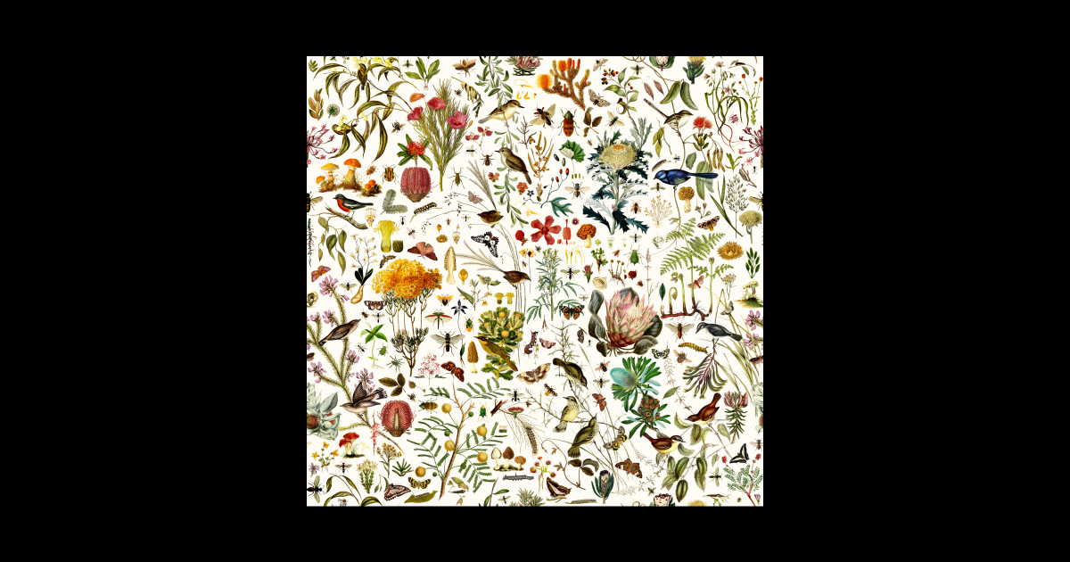 Biology Australia. - Nature - Sticker | TeePublic