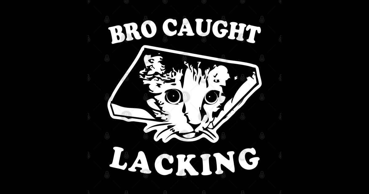 Bro Caught Lacking Ceiling Cat Meme - Bro Caught Lacking - Sticker ...
