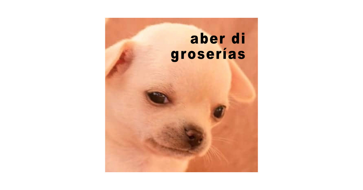 Aber di groserías - Perrito Aber Di Groserias Fuertes - Sticker | TeePublic