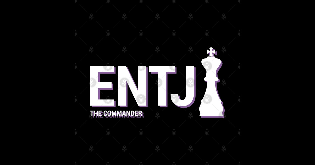 ENTJ The Commander MBTI types 3D Myers Briggs personality gift with ...