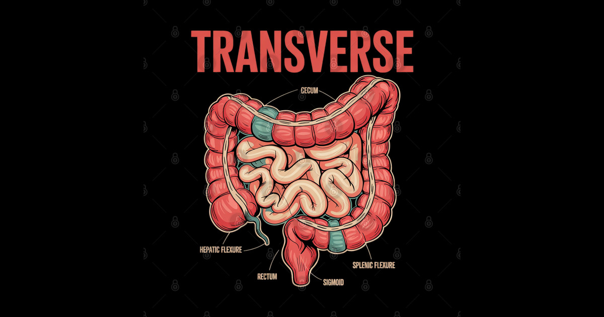 Endoscopy Nurse GI Endo Tech Colonoscopy Colon Anatomy - Endoscopy ...