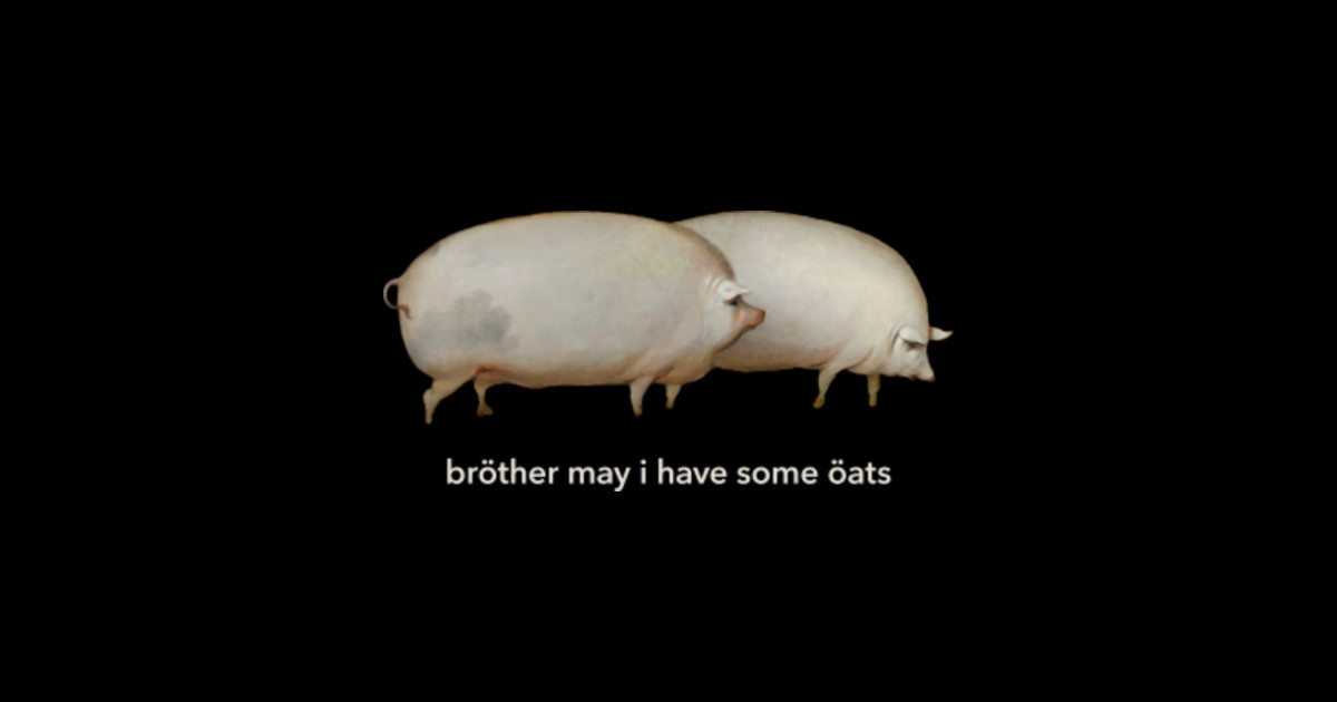 Brother May I Have Some Oats, Classic Meme - Brother May I Have Some ...
