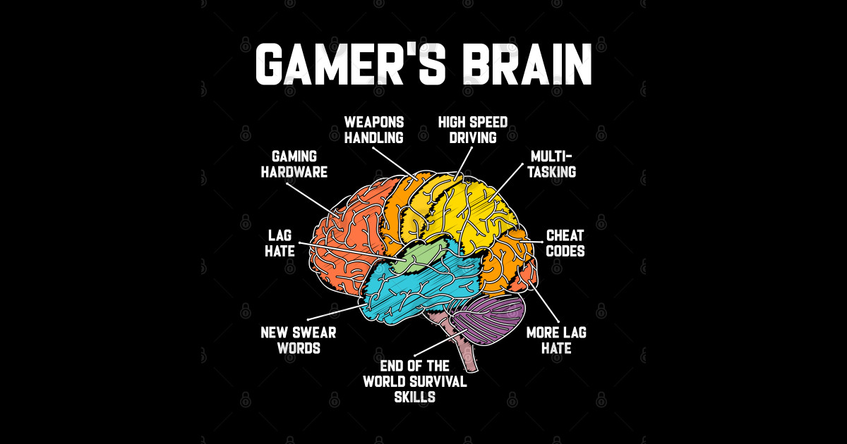 Anatomy of a Video Gamer Brain - Video Gamer - Sticker | TeePublic