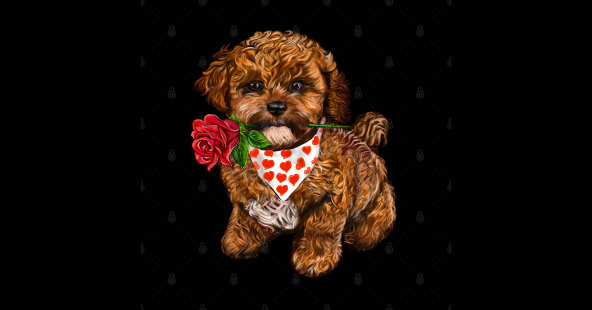 The Best Valentine’s Day Gift ideas, cavalier king charles spaniel Cute ...