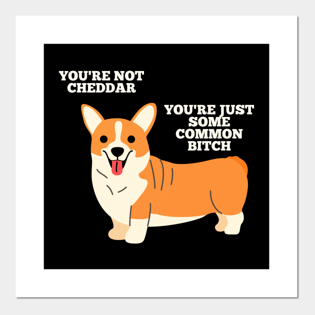 You're not Cheddar, you're just some common bitch. - Brooklyn Nine Nine ...