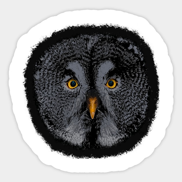 Owl Face - Birding - Sticker | TeePublic