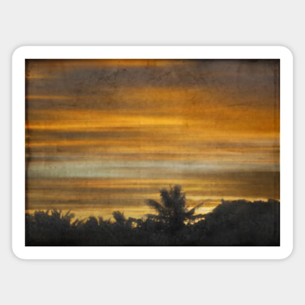 Tropical sunset - Sunset - Sticker | TeePublic