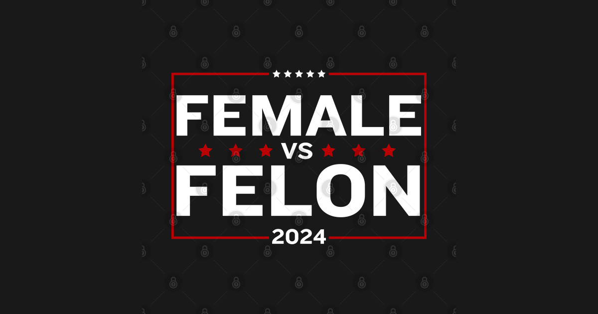 Female Vs Felon 2024 Election - Female Vs Felon - T-Shirt | TeePublic