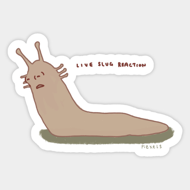 Live Slug Reaction - Slug - Sticker | TeePublic