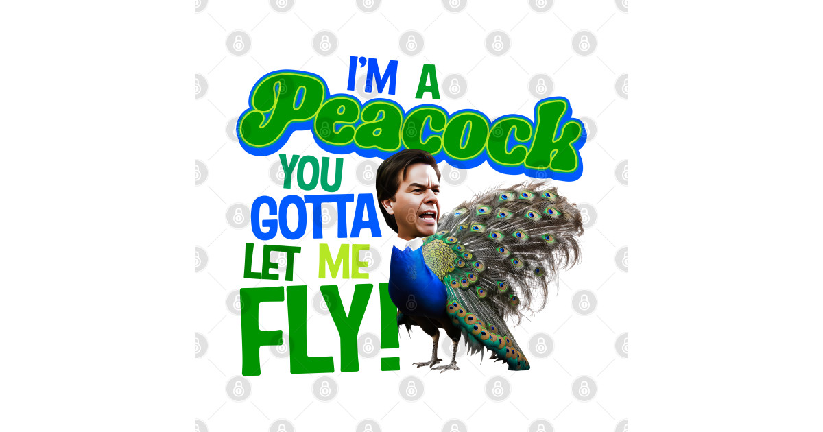 The Other Guys - I'm a Peacock You Gotta Let Me Fly - The Other Guys ...