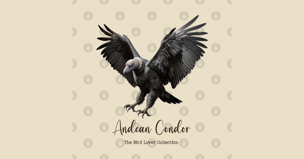 Andean Condor - The Bird Lover Collection - Andean Condor - T-Shirt ...