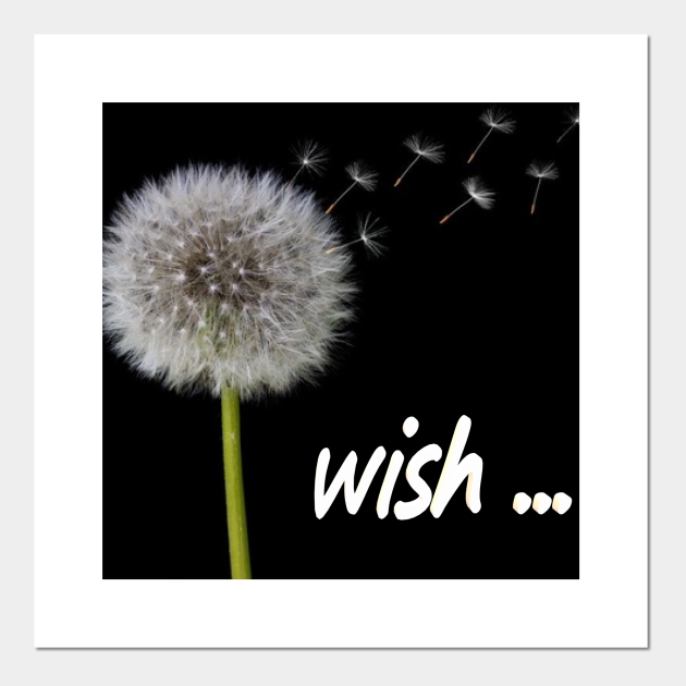 Dandelion Make a Wish - Dandelion Wish - Posters and Art Prints | TeePublic