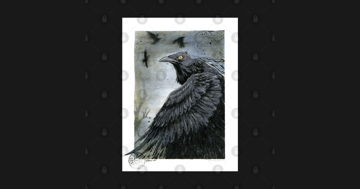 A Crow's Shadowed Wings - Crow Raven Corvid Wing Flying Ink Marke - T ...