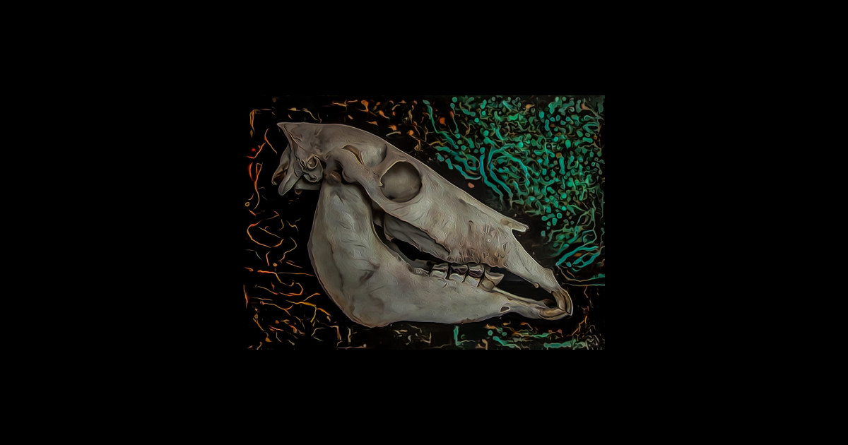 Donkey's skull - Cutup - Sticker | TeePublic