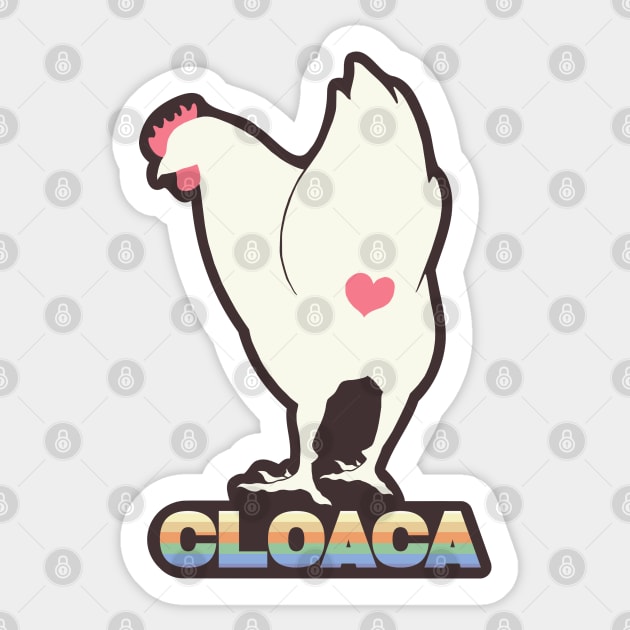 cloaca chicken