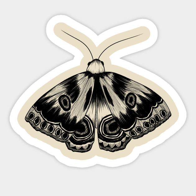 Moth - Moth - Sticker | TeePublic
