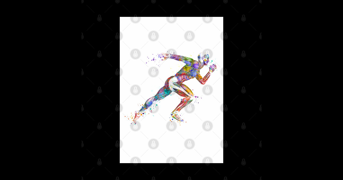 Runner Muscles Colorful Sprinter Watercolor - Anatomy - Sticker | TeePublic