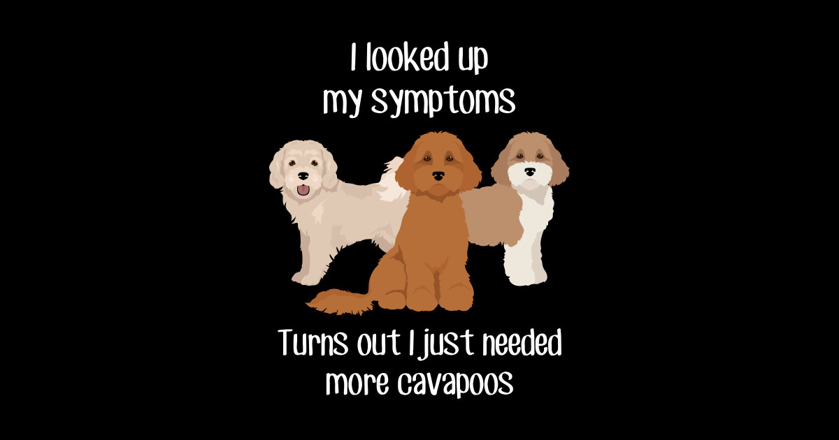 Need Cavapoo Dogs - Cavapoo - Sticker | TeePublic