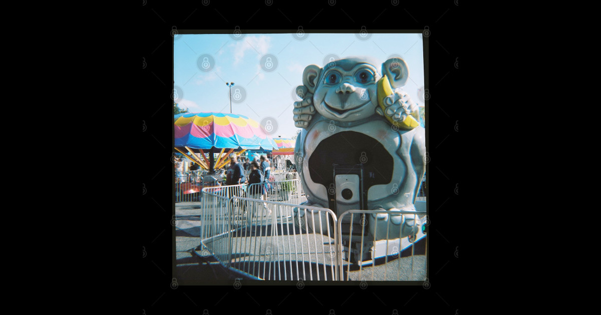 Monkey Ride - Minnesota State Fair - Diana 120mm Photograph - Lomo ...