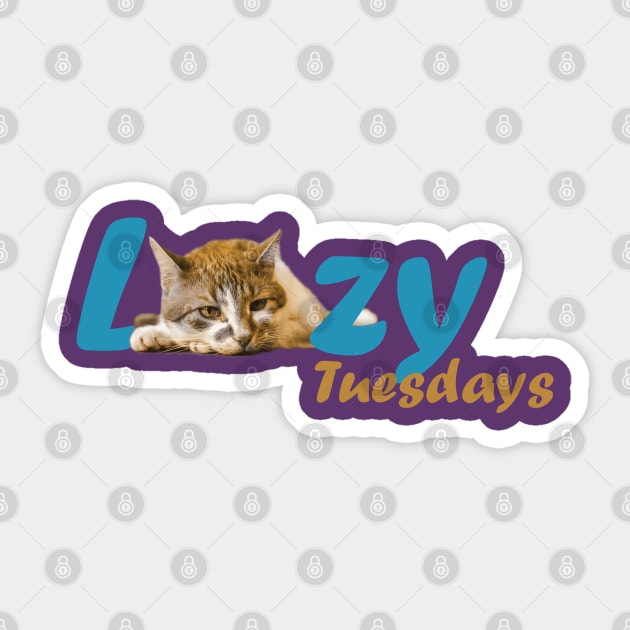 Lazy Cat Tuesdays - Lazy Tuesdays - Sticker | TeePublic