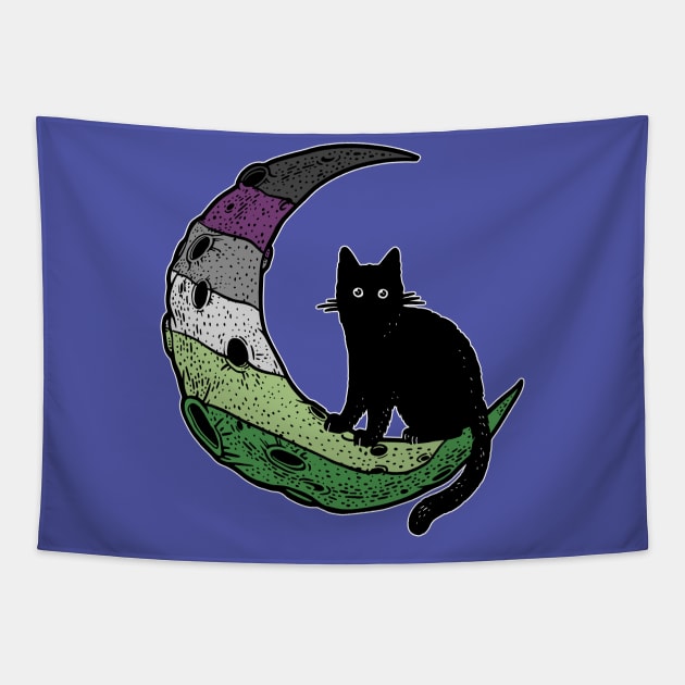 Aroace Cat Moon LGBT Asexual Aromantic Pride Flag - Aroace - Tapestry ...