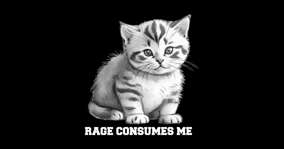 Rage Consumes Me Cute Cat Kitten - Rage Consumes Me Cute Cat Kitten ...