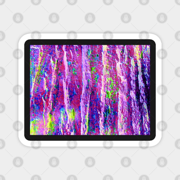 Elm Tree Bark, Digitally Enhanced Photo - Tree Bark - Magnet | TeePublic