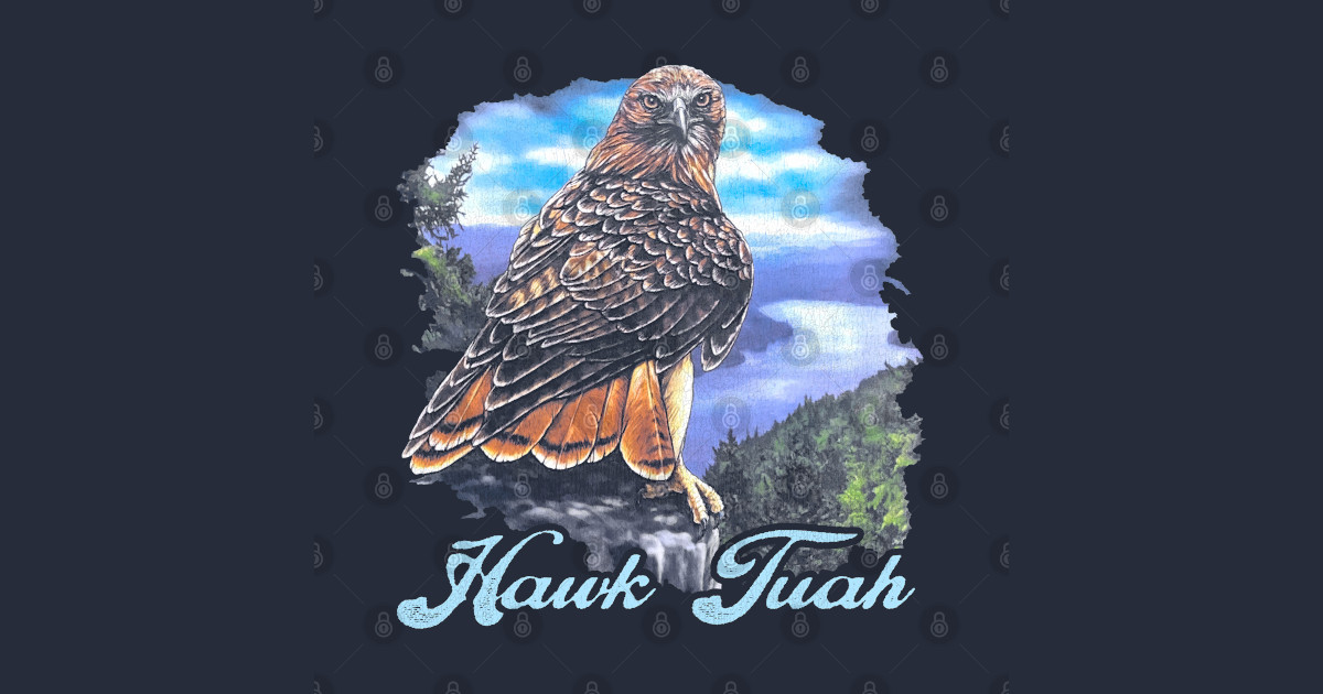 Hawk Tuah 70s Truck Stop Tee - Hawk Tuah - T-Shirt | TeePublic
