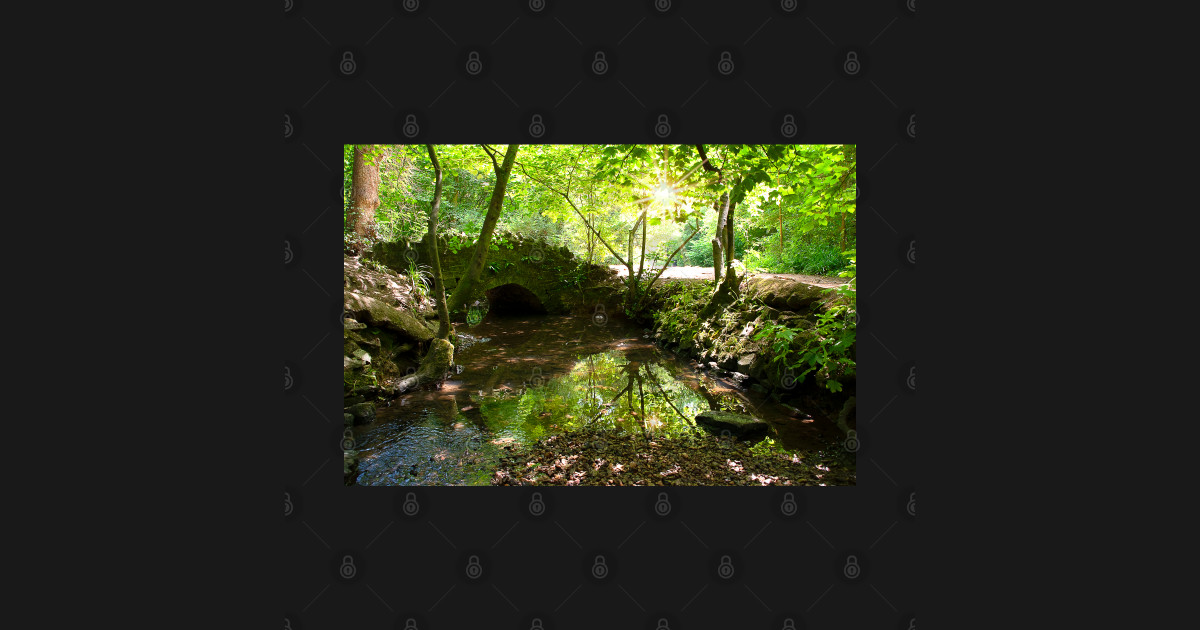 Blaise Castle bridge - Blaise Castle - T-Shirt | TeePublic