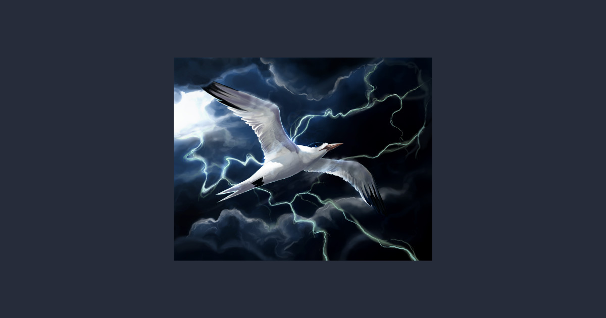 Storm Bird - White - T-Shirt | TeePublic